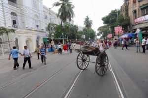 College Street Kolkata - Swan Tours - Travel Experiences, Popular ...