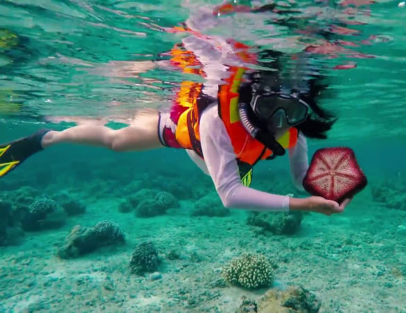 Top 5 Water Sports in Maldives by Swan Tours, India