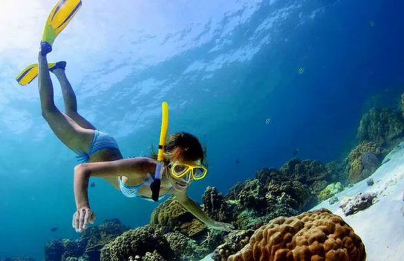 Go Snorkeling - Swan Tours - Travel Experiences, Popular Places ...
