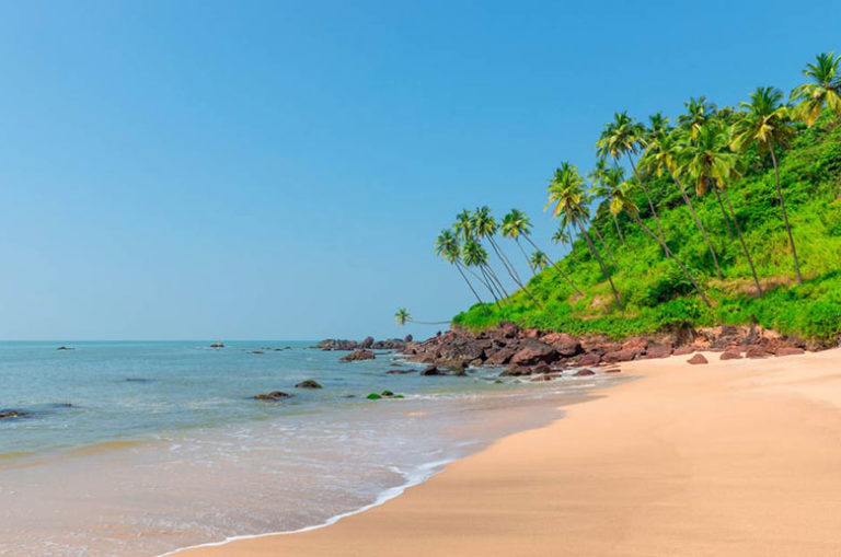 Benaulim Beach - Swan Tours - Travel Experiences, Popular Places ...