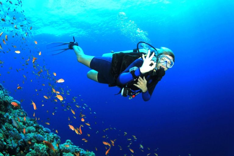 7 Places for Scuba Diving in Andaman and Nicobar by Swan Tours
