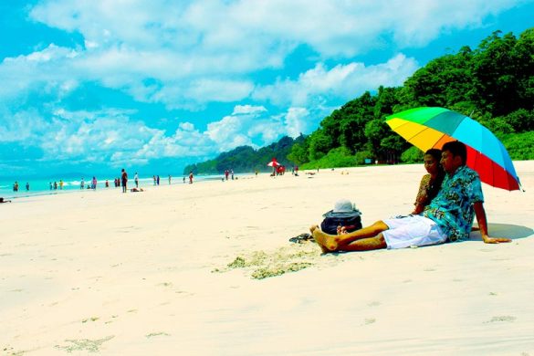 8 Places to Visit in Havelock | Best Things to Do (2019) – Swan Tours