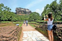 8 Famous Food of Shimla | Traditional Dishes of Shimla – Swan Tours