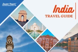 Rath Yatra - Swan Tours - Travel Experiences, Popular Places & Explore ...